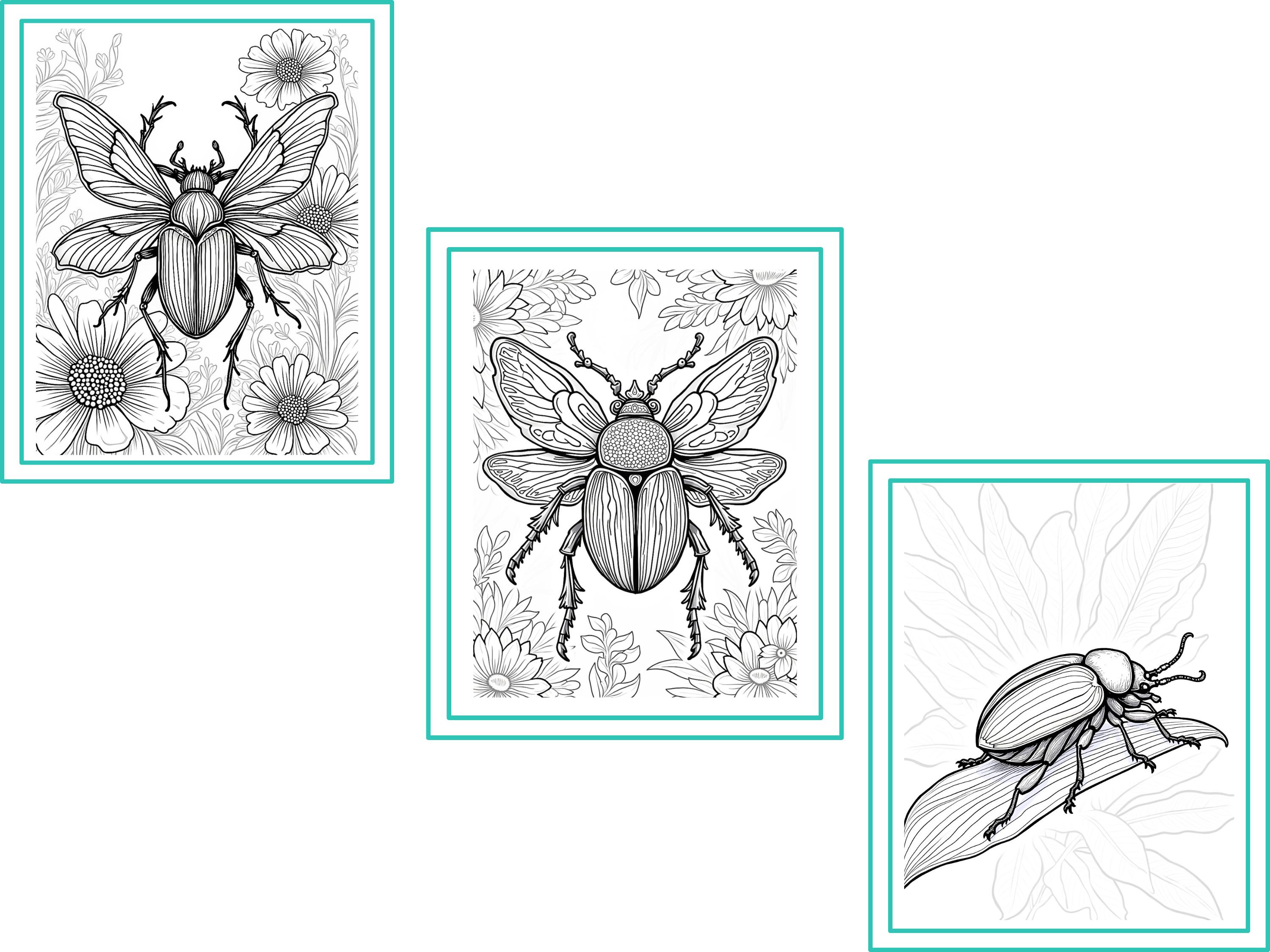Crystal-winged Beetles Coloring Book | Fantasy Insects & Floral ...