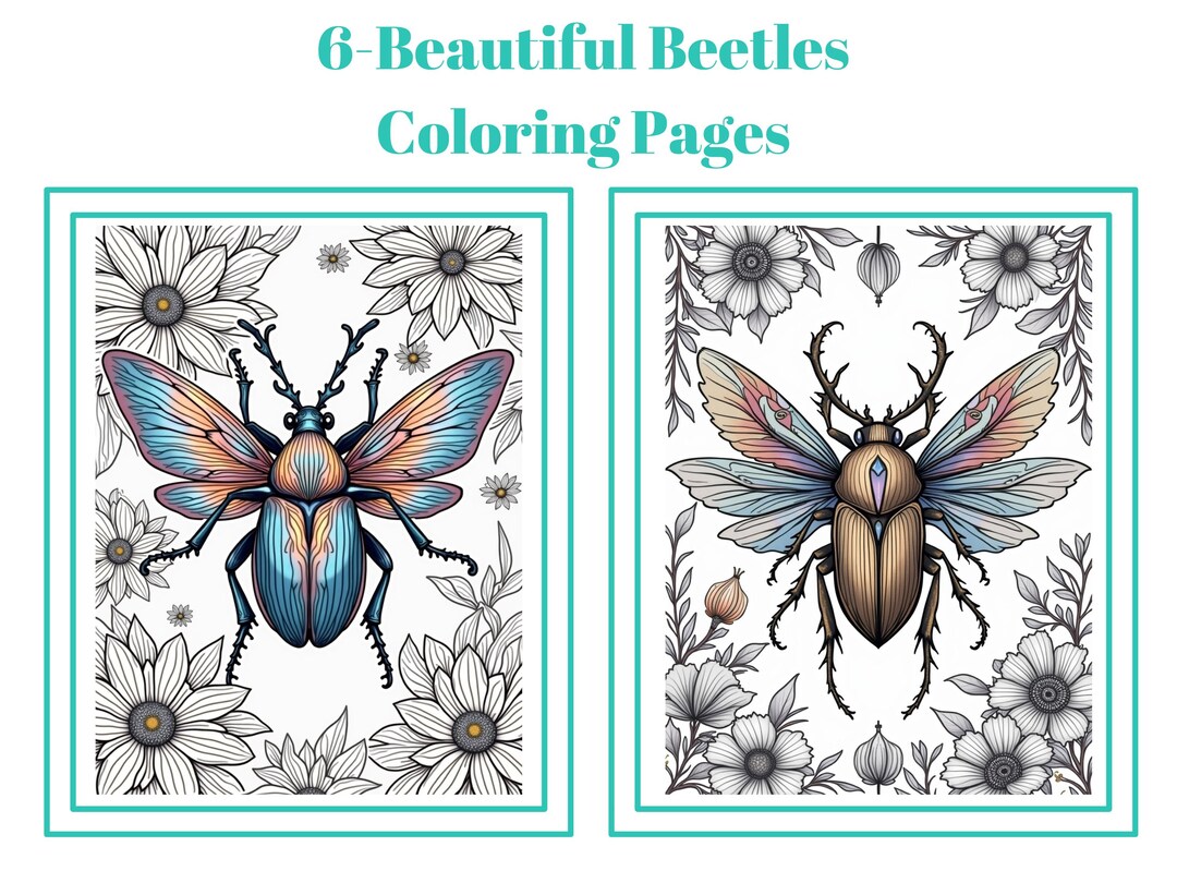 Crystal-winged Beetles Coloring Book | Fantasy Insects & Floral ...
