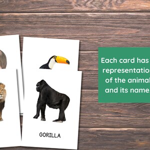 22 Jungle Animals Cards, Jungle Animals Cards for Toddlers, Montessori ...