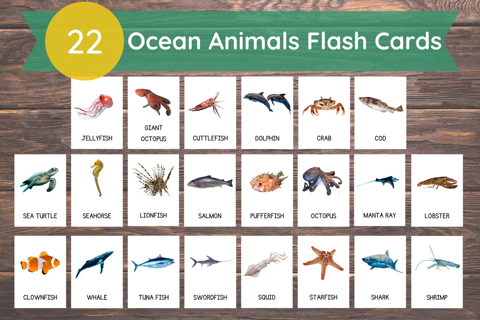 22 Ocean Animals Cards, Ocean Animals Cards for Toddlers, Montessori ...