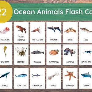 22 Ocean Animals Cards, Ocean Animals Cards for Toddlers, Montessori ...