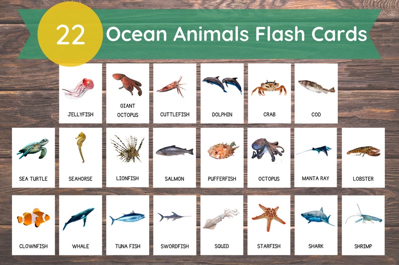 22 Ocean Animals Cards Ocean Animals Cards for Toddlers - Etsy