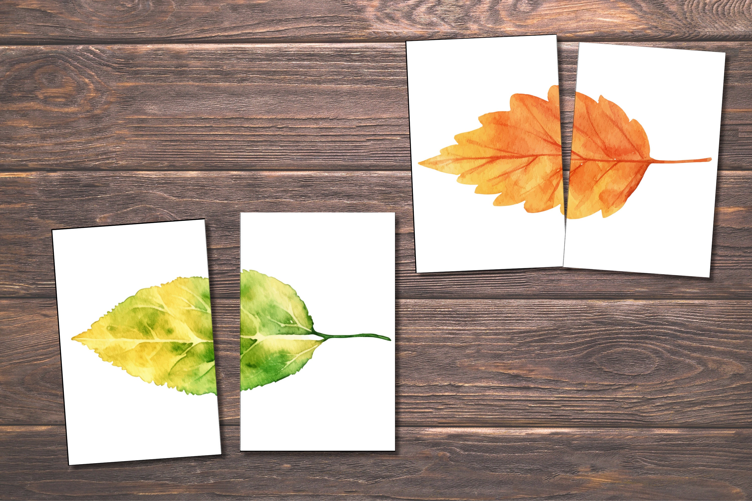 Matching Leaves 20 Cardsfall Activity for Kids Toddler - Etsy
