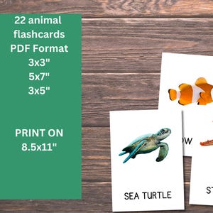 22 Ocean Animals Cards, Ocean Animals Cards for Toddlers, Montessori ...