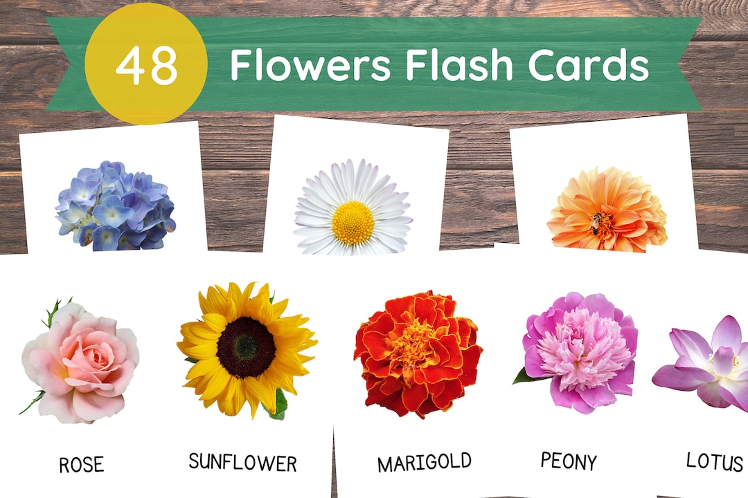 48 Flowers Cards, Flowers Flashcards, Printable Real Pictures ...