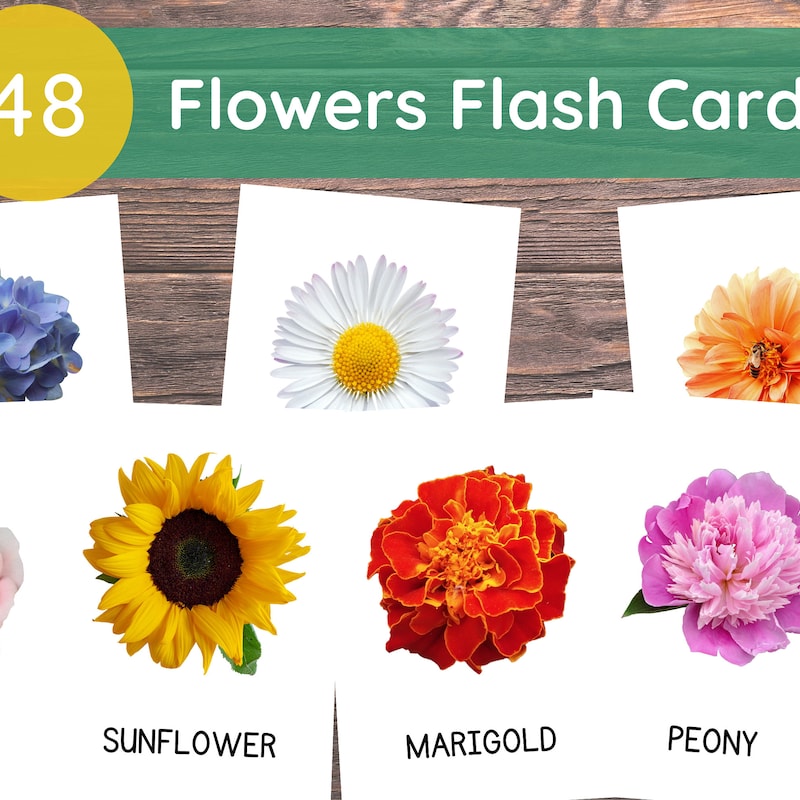 Flashcards - Etsy
