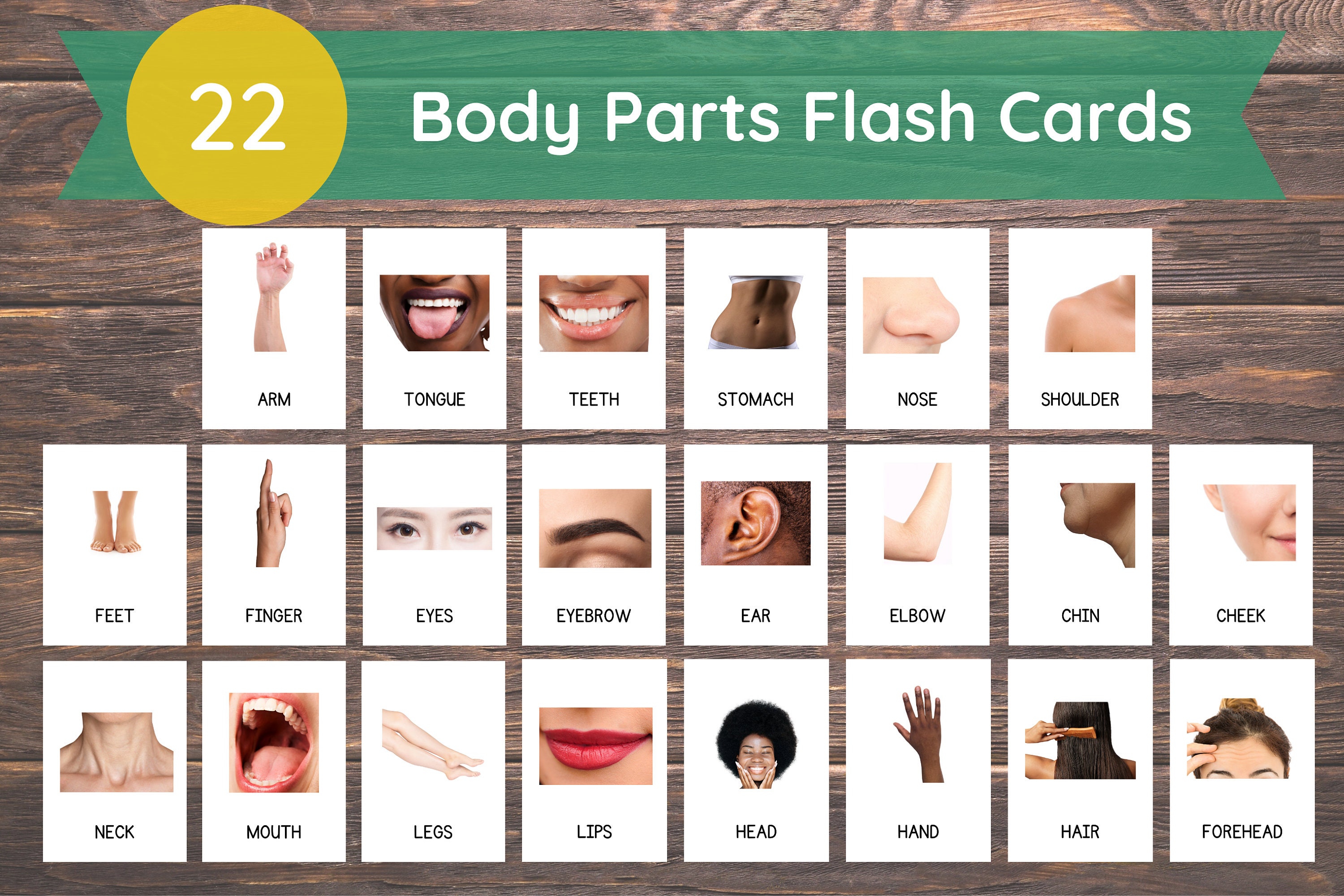 22 Body Parts Cards, Montessori Flashcards, Pre-school Cards, Toddler ...