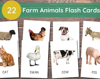 13 Farm Animals Cards | Montessori Flash Card Real Pictures Cards ...