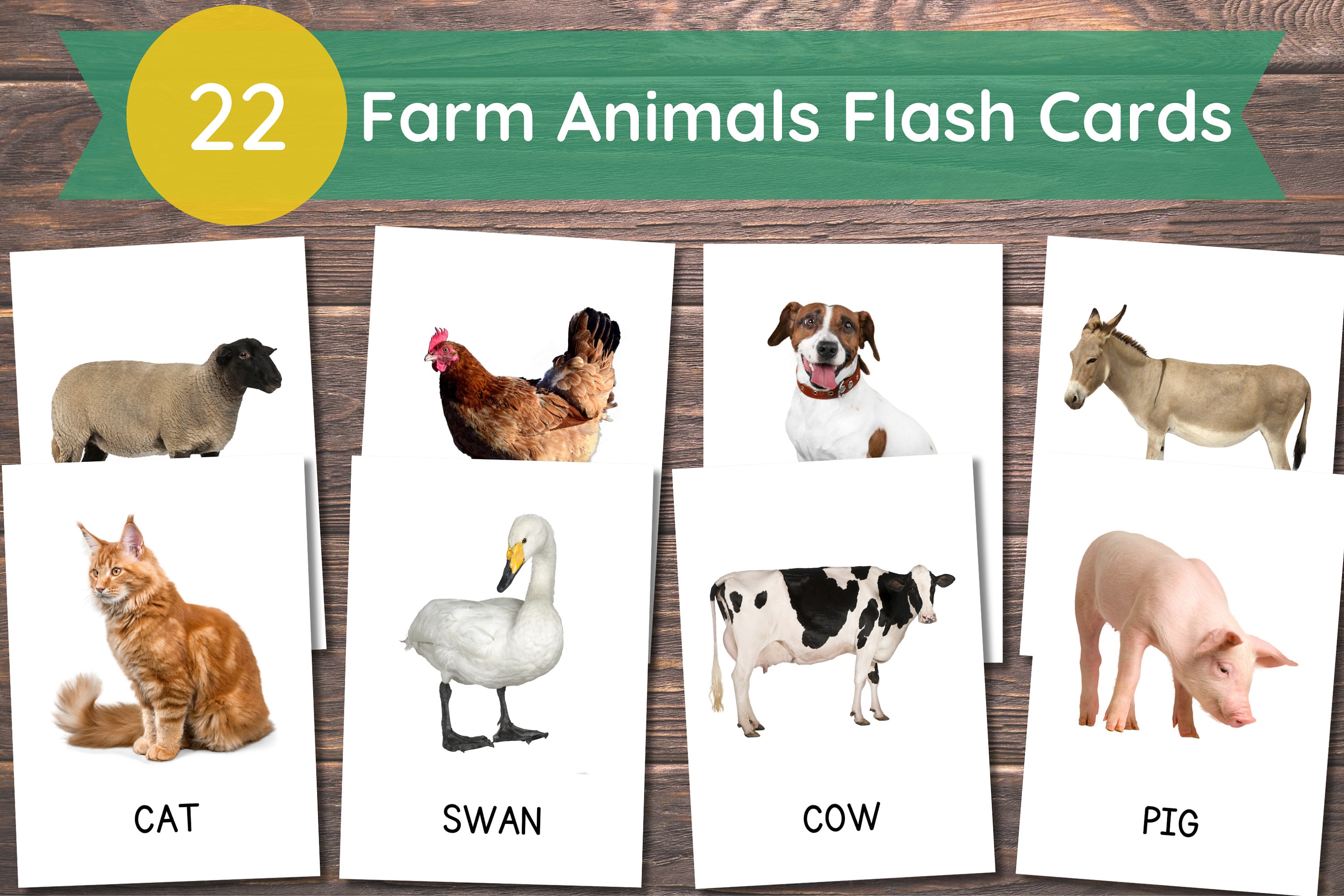 22 Farm Animals Cards Montessori Flash Card Real Pictures Cards ...
