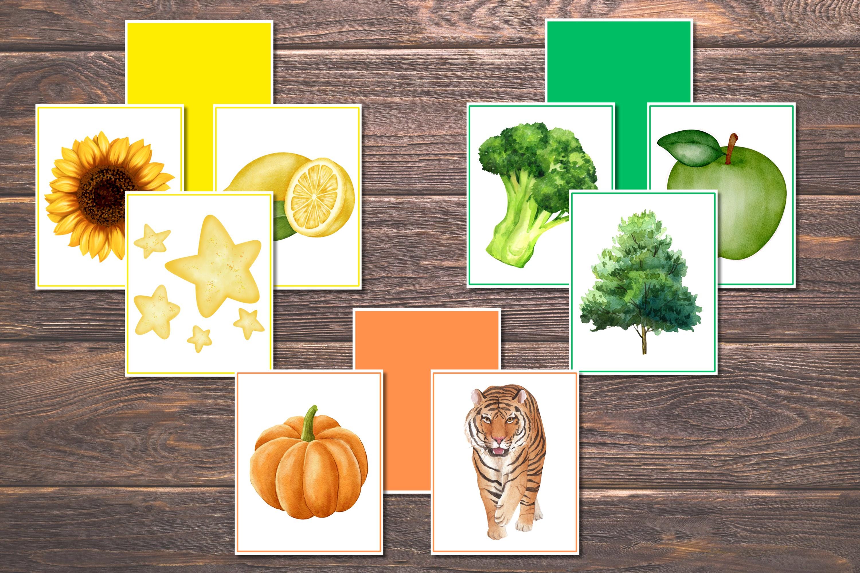 Montessori Color Sorting Printable Cards: Toddler's 11-color ...