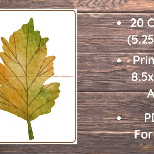 Fall Matching Toddler Activity,autumn Matching, Montessori, Homeschool ...