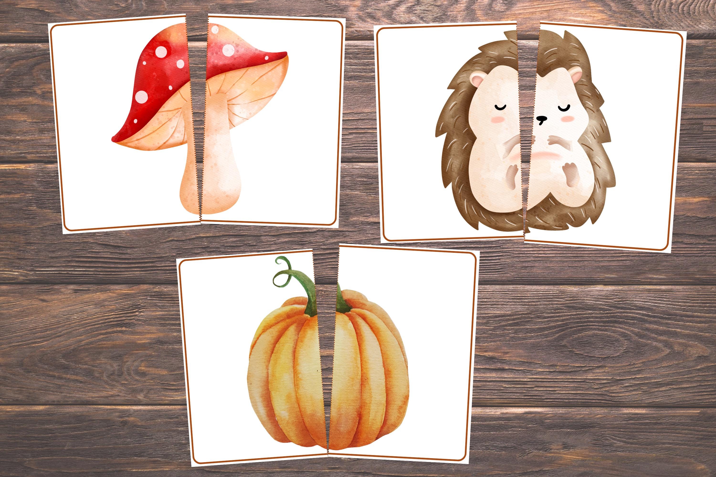 Fall Matching Toddler Activity,autumn Matching, Montessori, Homeschool ...