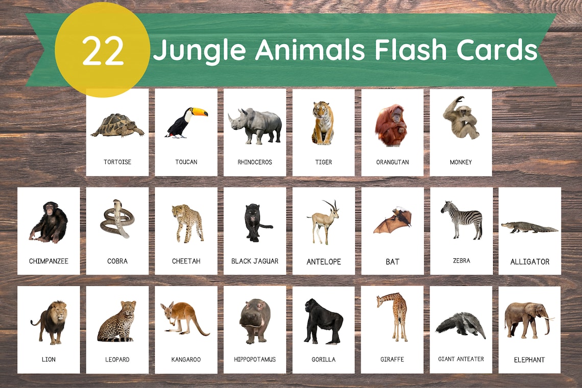 22 Jungle Animals Cards, Jungle Animals Cards for Toddlers, Montessori ...