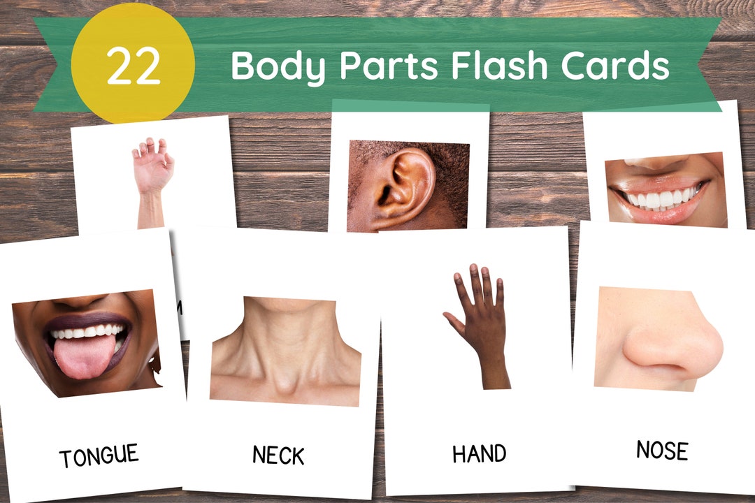 22 Body Parts Cards, Montessori Flashcards, Pre-school Cards, Toddler ...