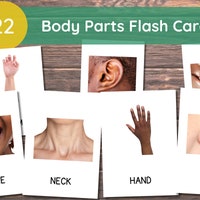 32 Body Parts Flashcards, Printable Montessori Flash Cards,pre-school ...