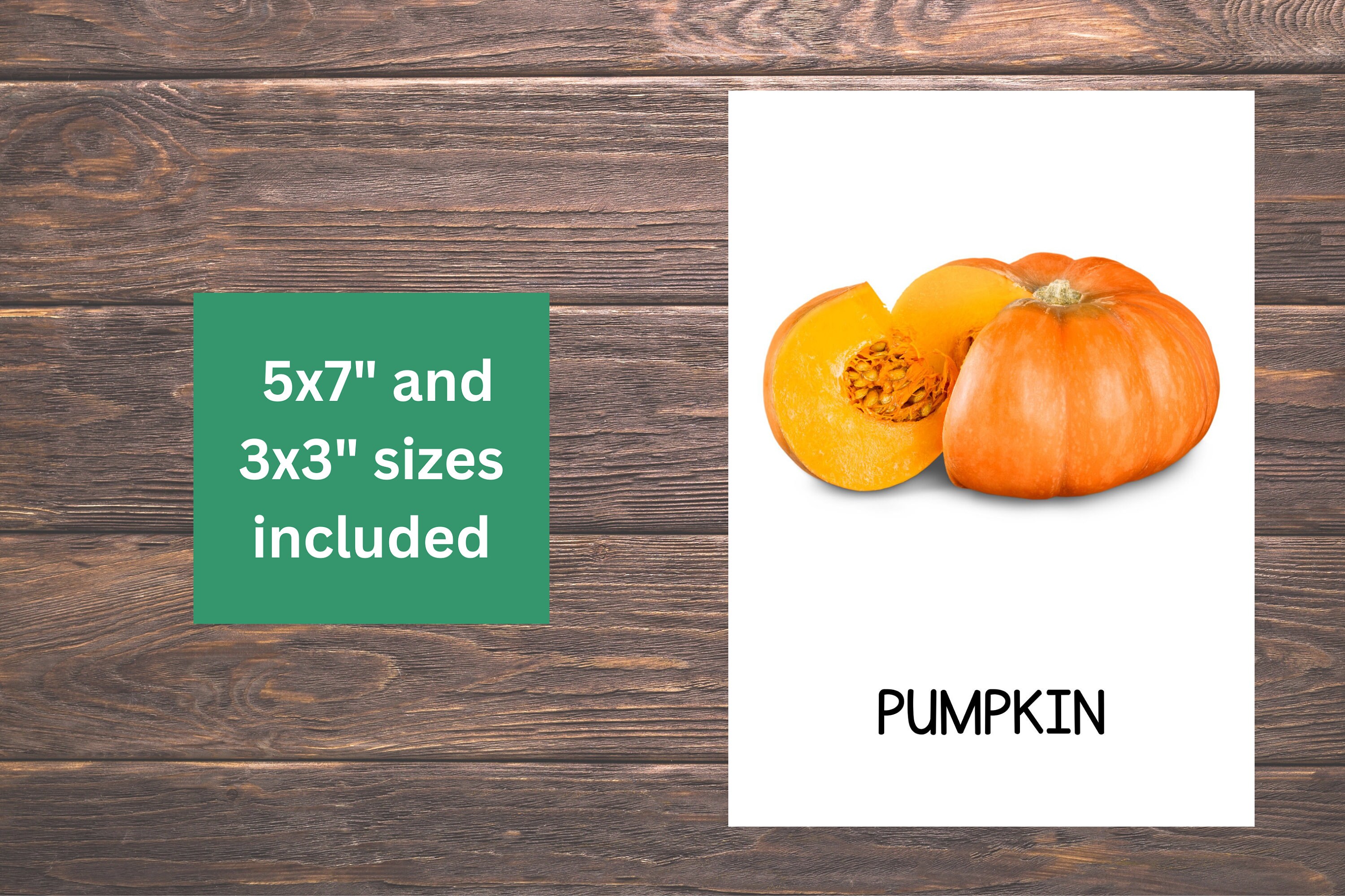 24 Insects Cards, Insects Flashcards, Printable Real Pictures ...