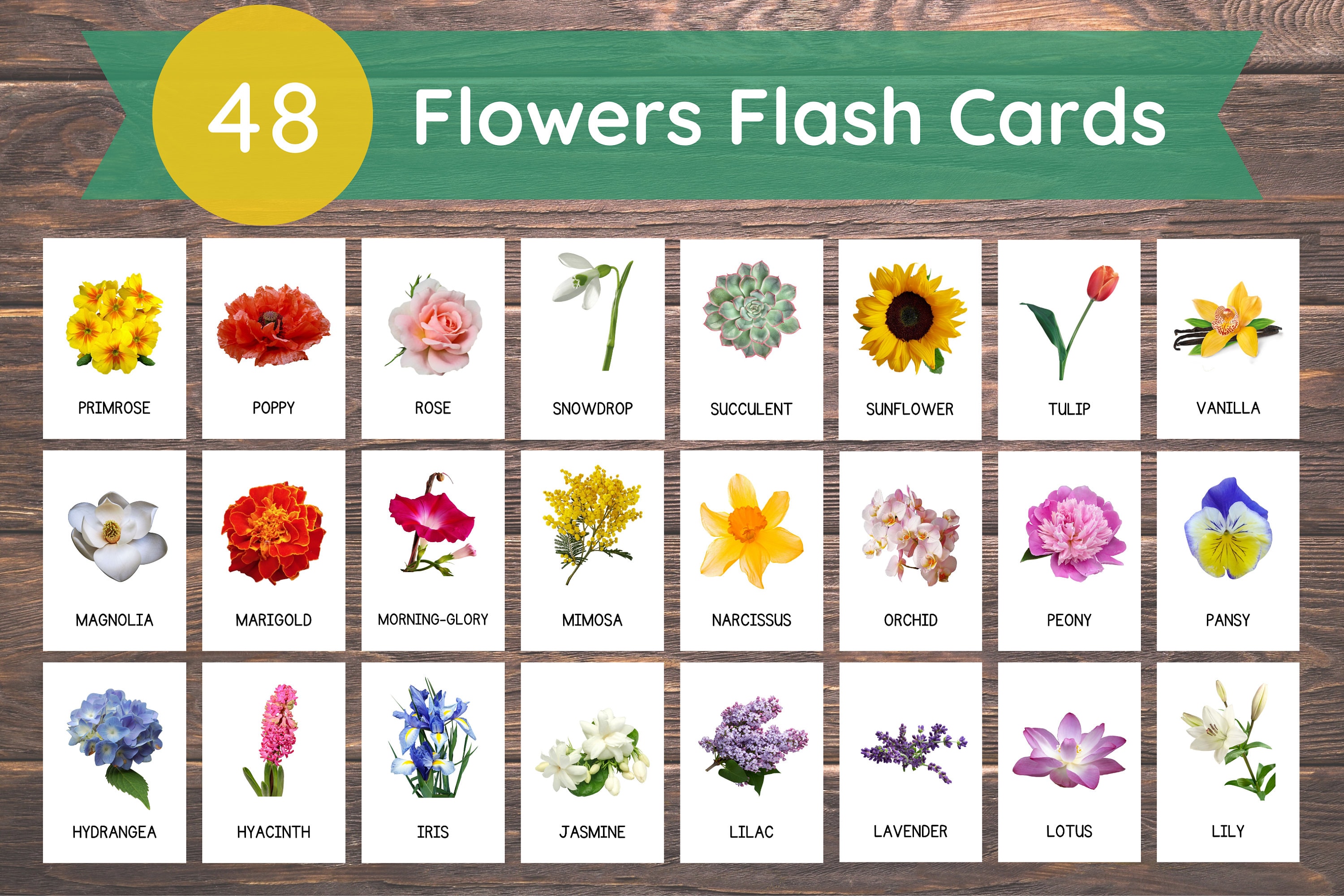 48 Flowers Cards, Flowers Flashcards, Printable Real Pictures ...