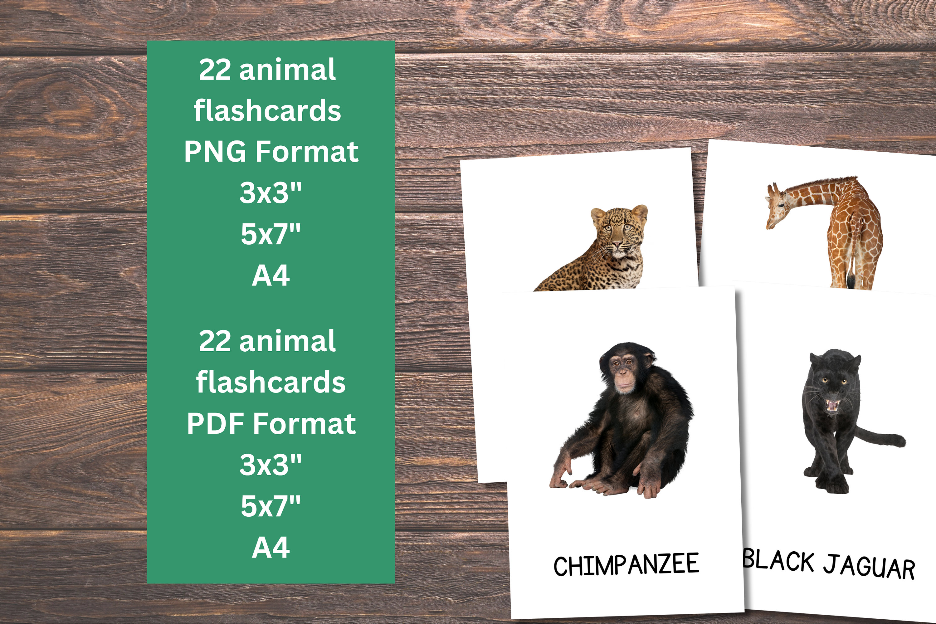 22 Jungle Animals Cards Jungle Animals Cards for Toddlers - Etsy