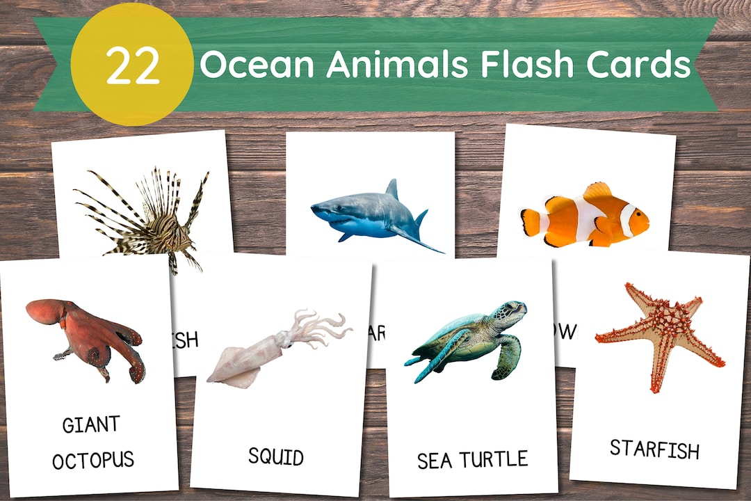 22 Ocean Animals Cards, Ocean Animals Cards for Toddlers, Montessori ...