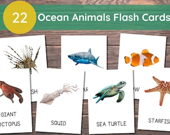 22 Forest Animals Cards, Forest Animals Cards for Toddlers, Montessori ...