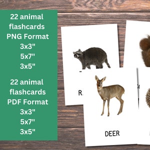 22 Forest Animals Cards, Forest Animals Cards for Toddlers, Montessori ...