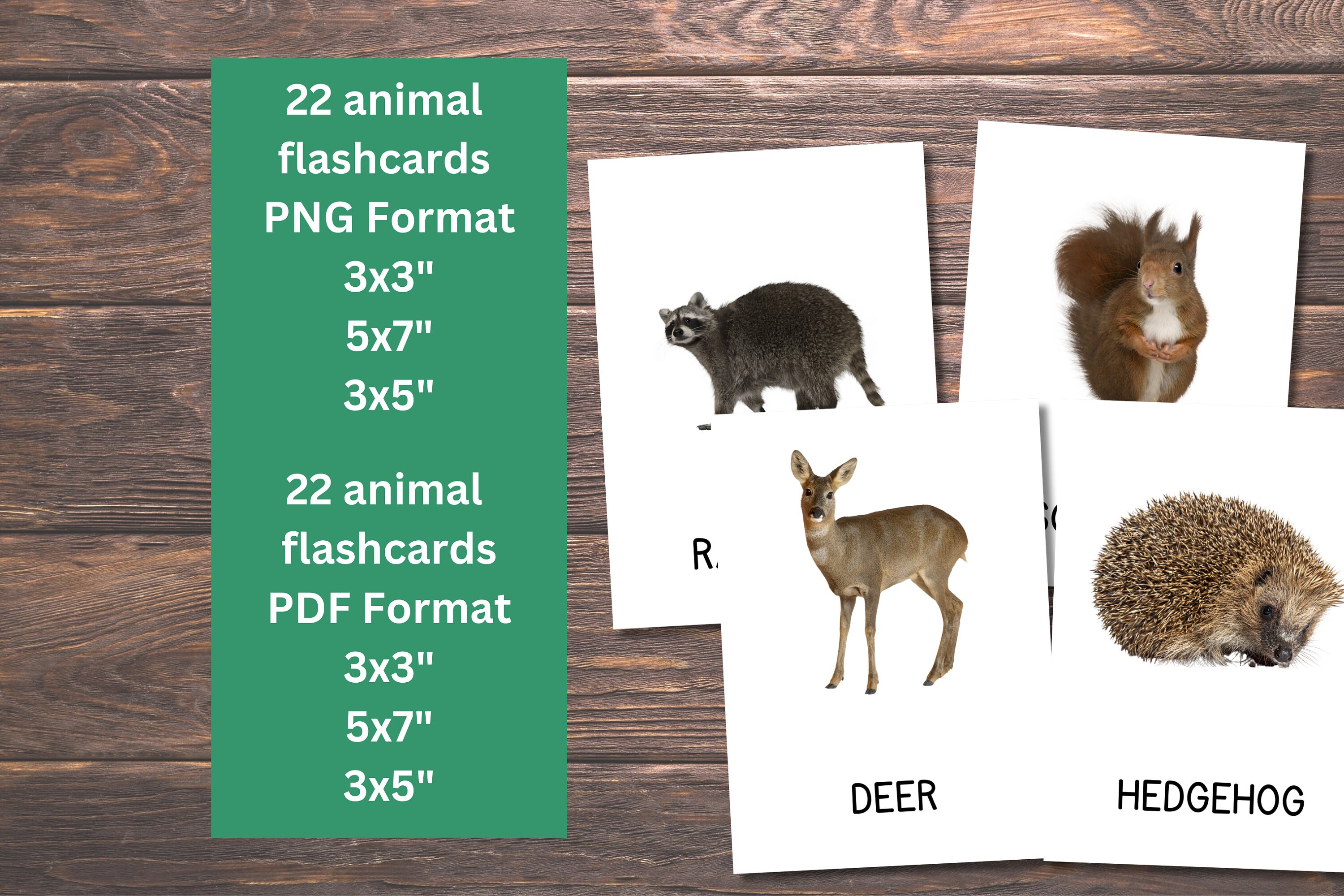 22 Forest Animals Cards, Forest Animals Cards for Toddlers, Montessori ...