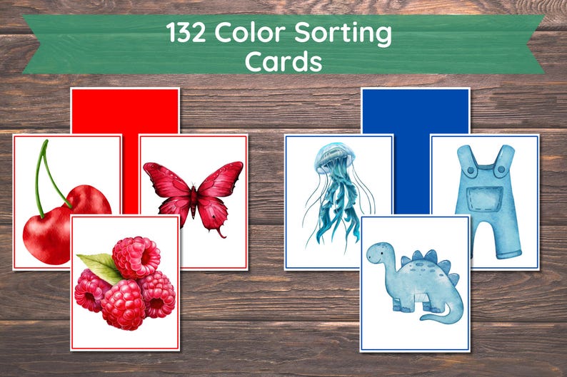 Montessori Color Sorting Printable Cards: Toddler's 11-color ...