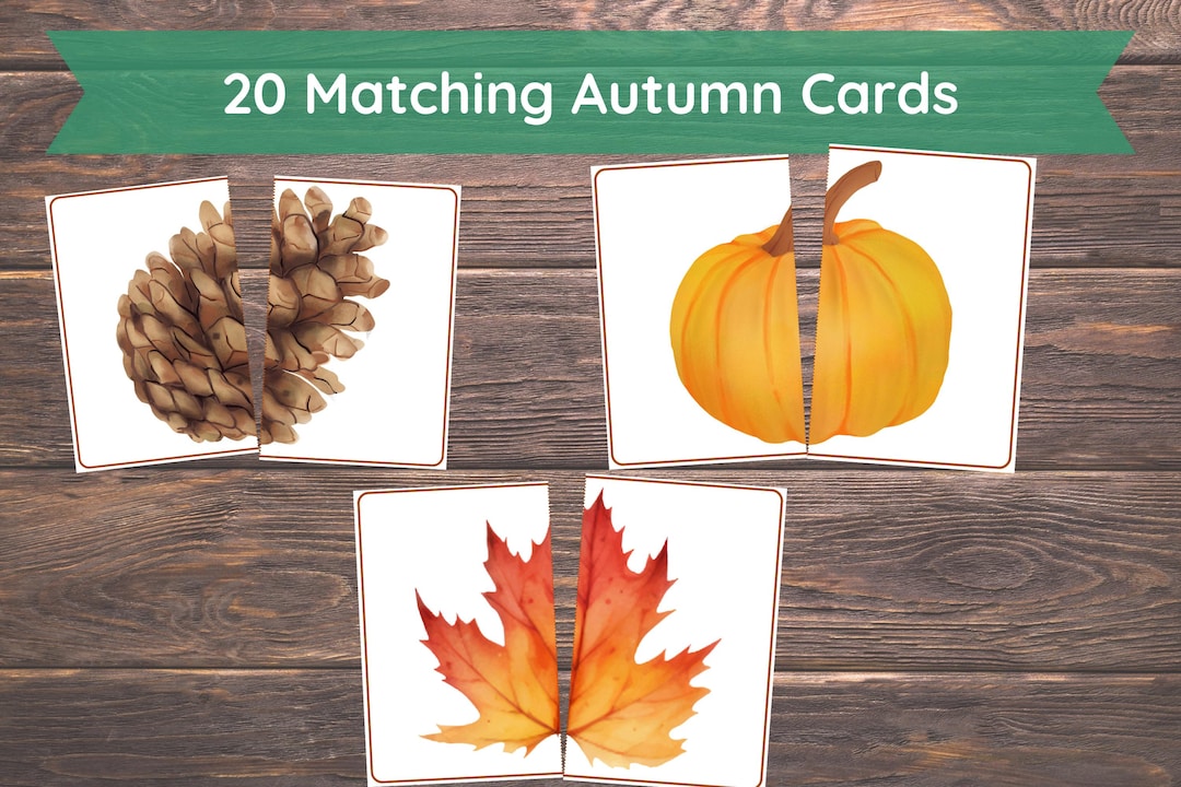 Fall Matching Toddler Activity,autumn Matching, Montessori, Homeschool ...
