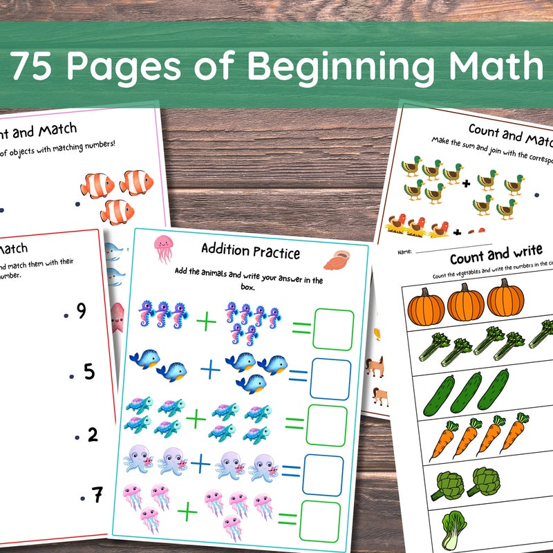 Math Lessons Vip - Etsy Australia