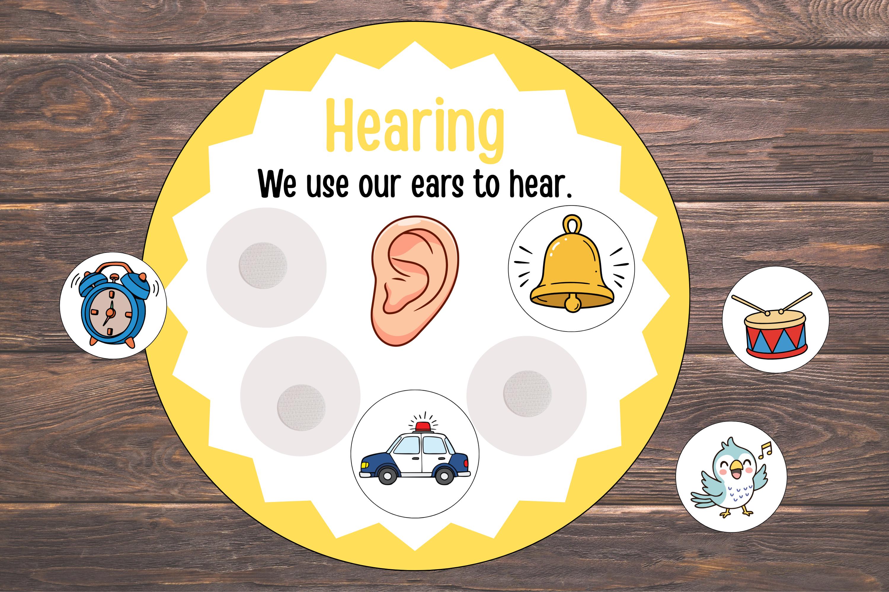 Five Senses Sorting Activity, 5 Sense Sorting Printable, Preschool ...