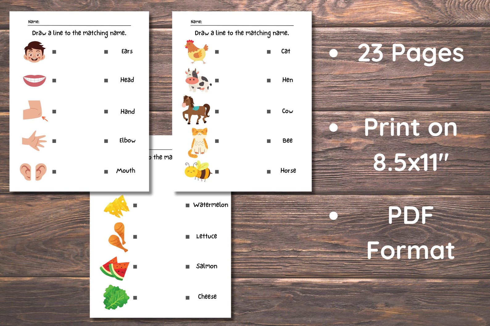 Printable Matching Names Worksheets, Match the Name, Kindergarten ...