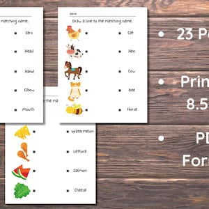 Printable Matching Names Worksheets, Match the Name, Kindergarten ...