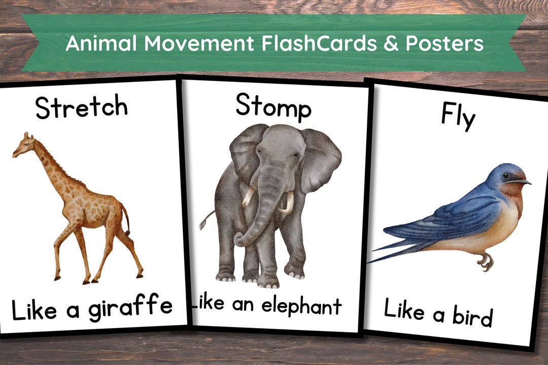 Animal Movement Cards, Movement Activity, Action Cards, Circle Time ...