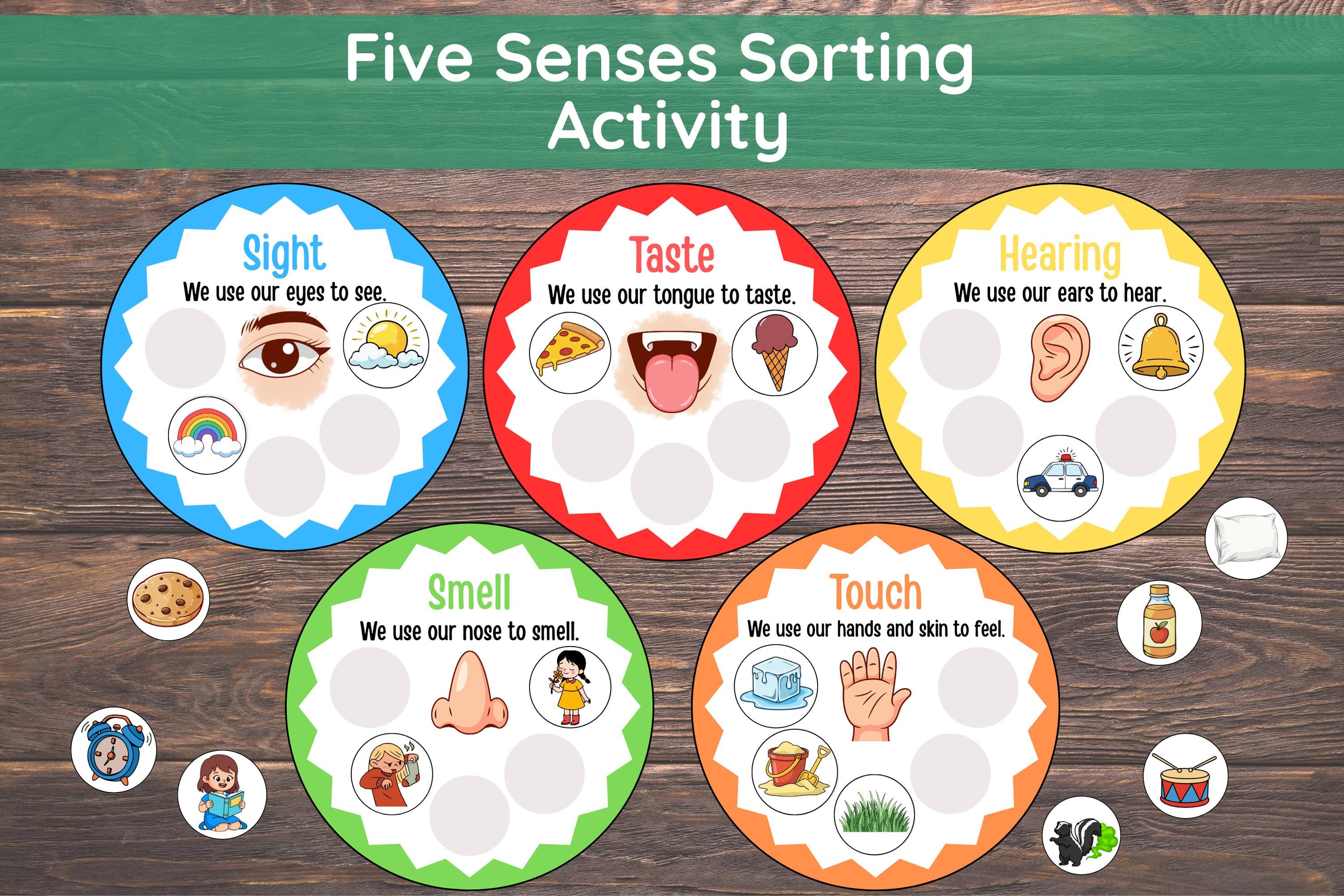 Five Senses Sorting Activity, 5 Sense Sorting Printable, Preschool ...