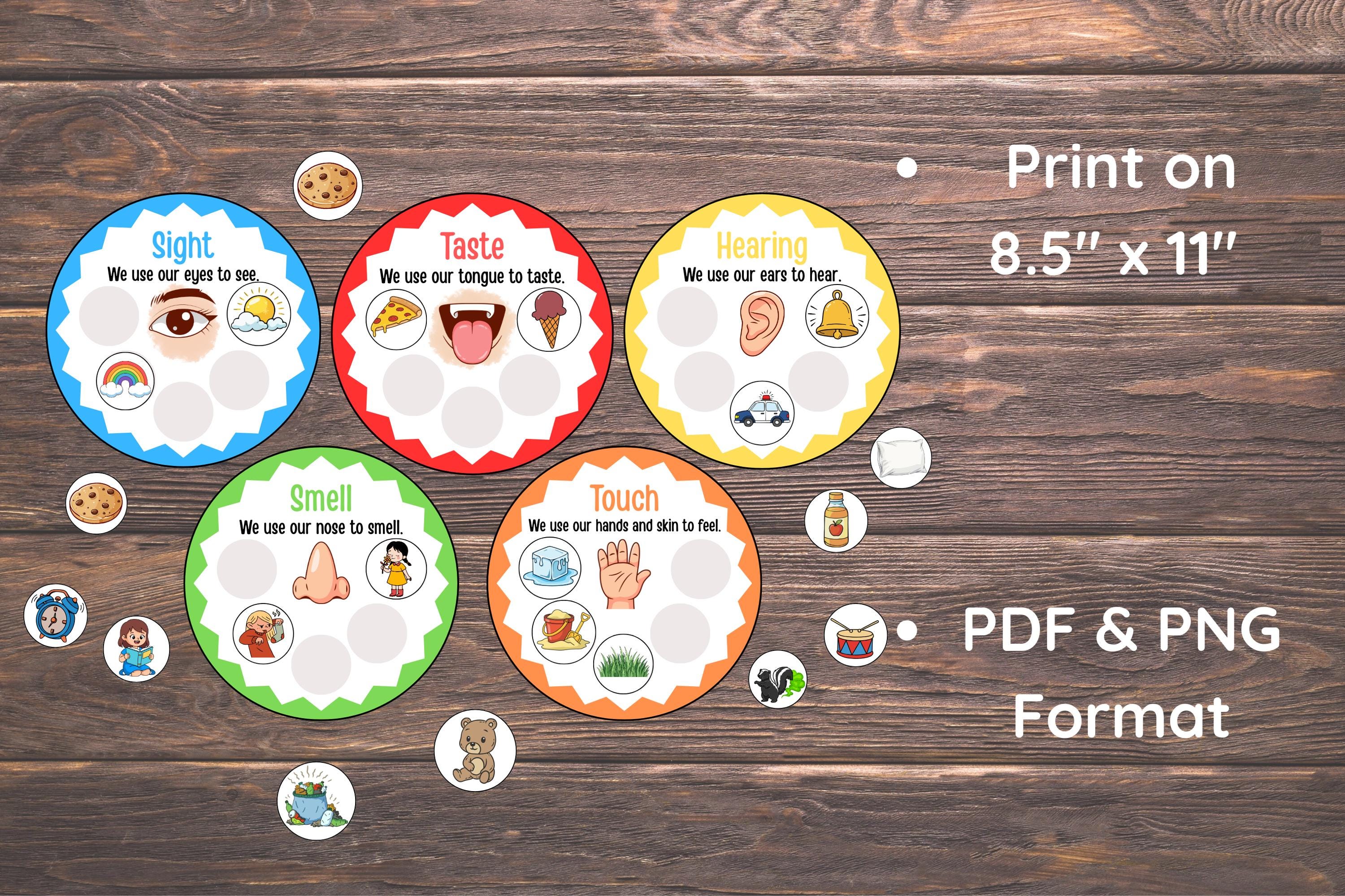 Five Senses Sorting Activity, 5 Sense Sorting Printable, Preschool ...