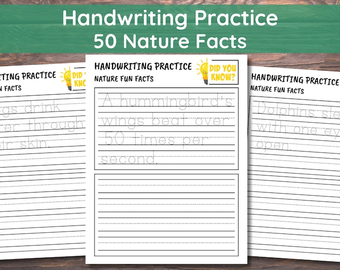 25 Printable Sentence Writing Worksheets, Write the Sentence Worksheets ...