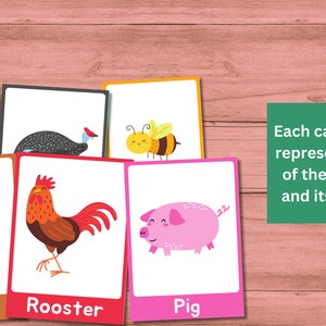 20 Farm Animals Cards, Montessori Flash Cards, Pre-school Cards ...