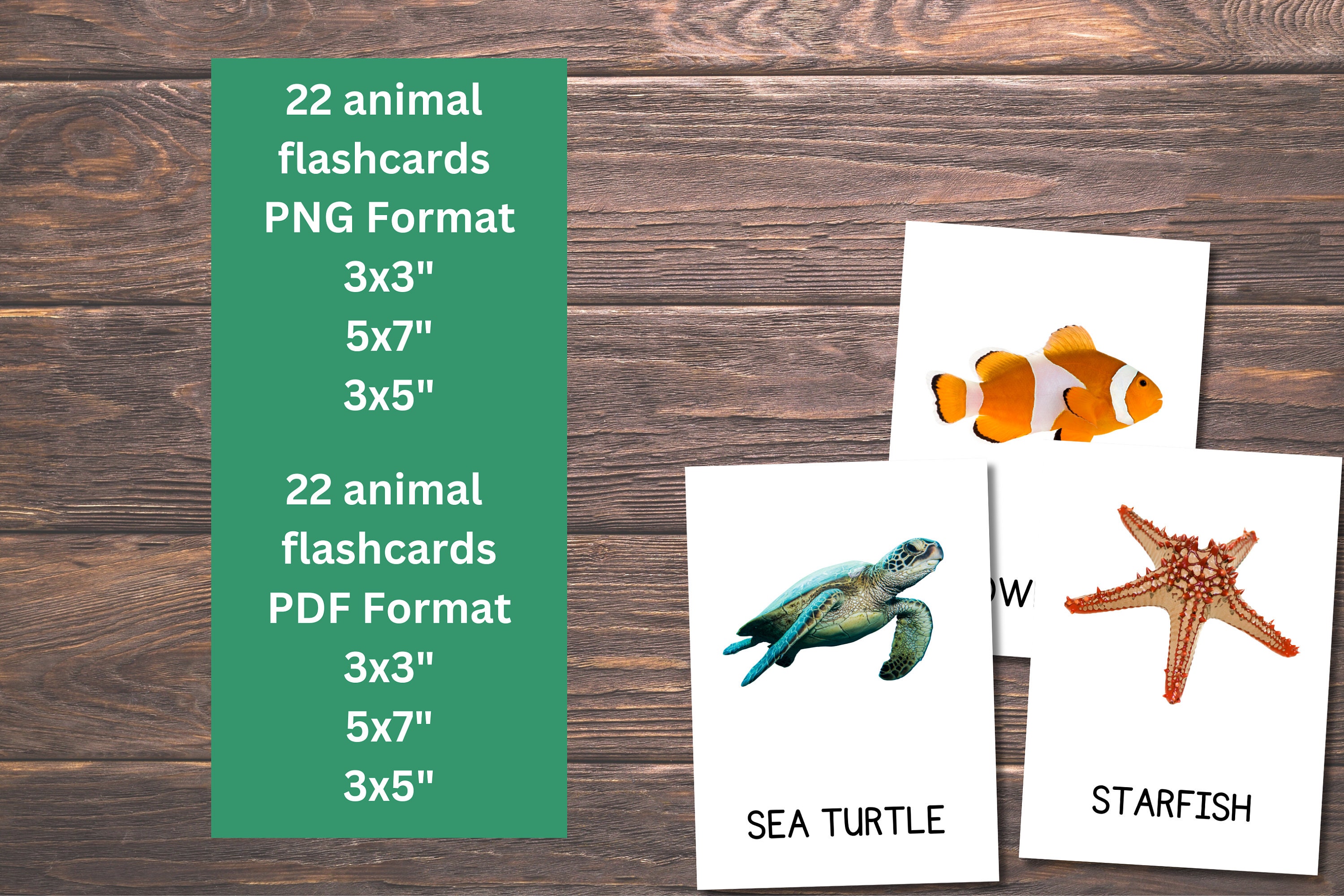 22 Ocean Animals Cards Ocean Animals Cards for Toddlers - Etsy Canada