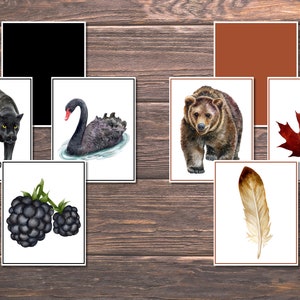 Montessori Color Sorting Printable Cards: Toddler's 11-color ...