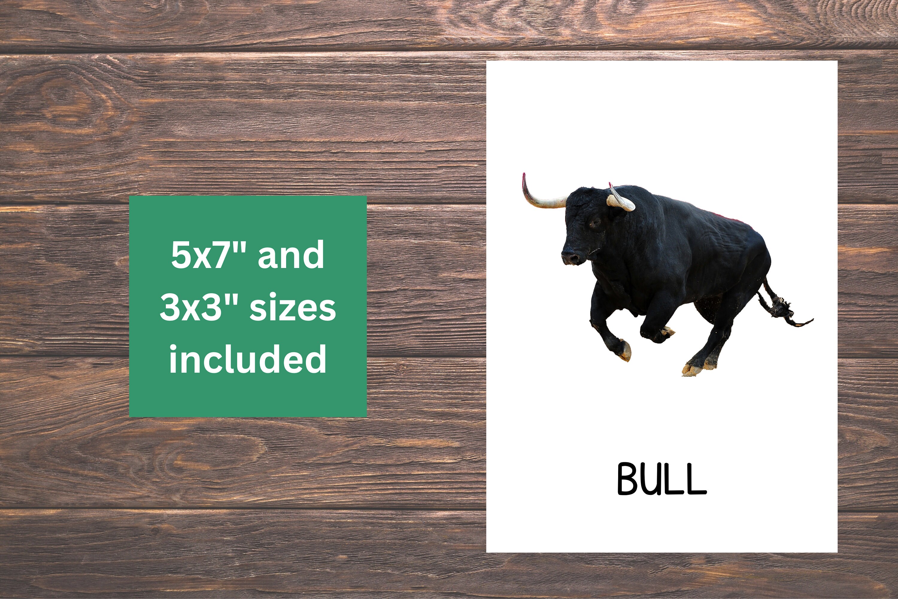 22 Farm Animals Cards | Montessori Flash Card | Real Pictures Cards ...
