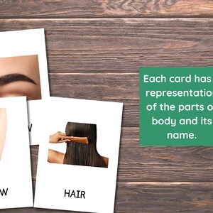 22 Body Parts Cards, Montessori Flashcards, Pre-school Cards, Toddler ...