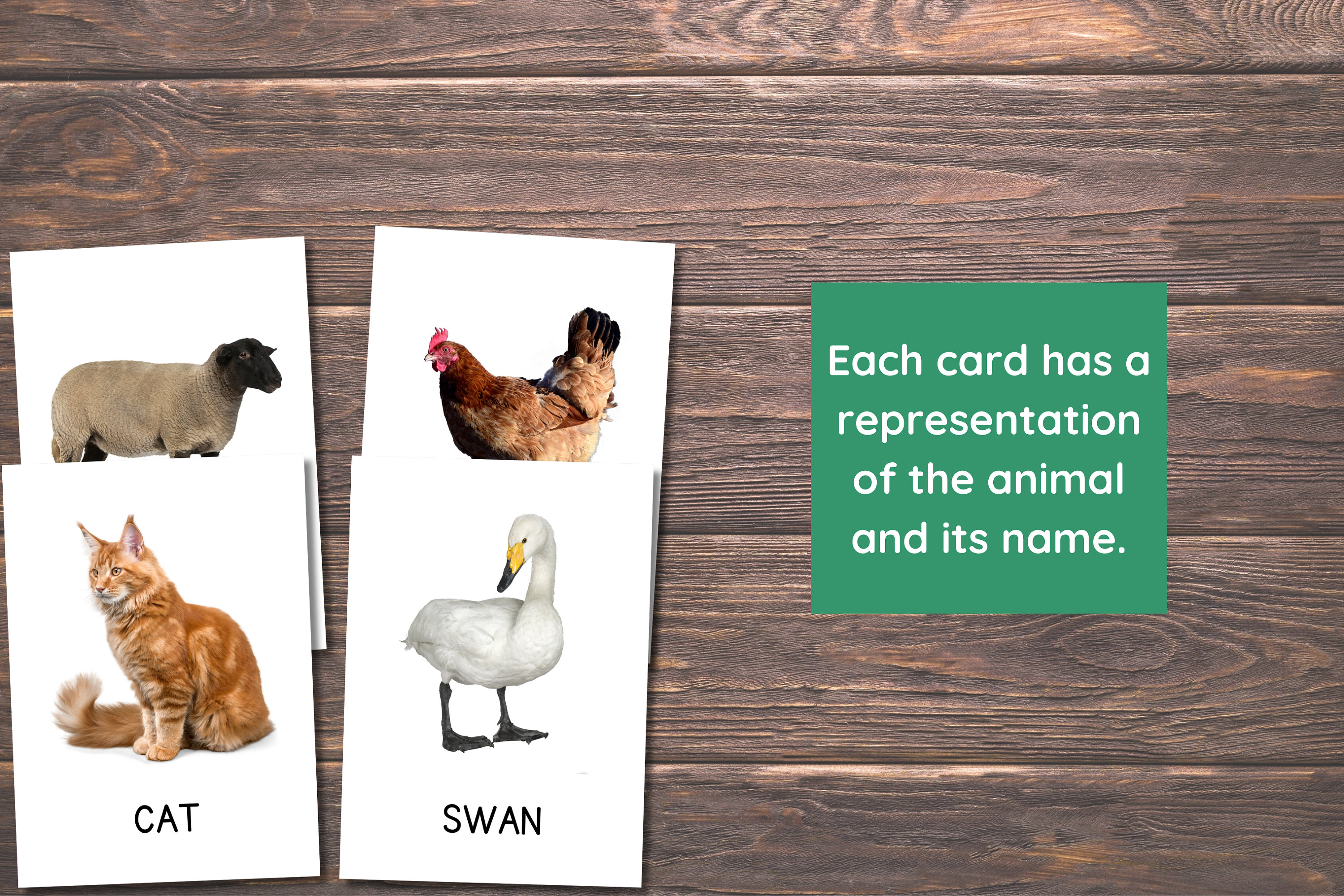 22 Farm Animals Cards Montessori Flash Card Real Pictures - Etsy UK