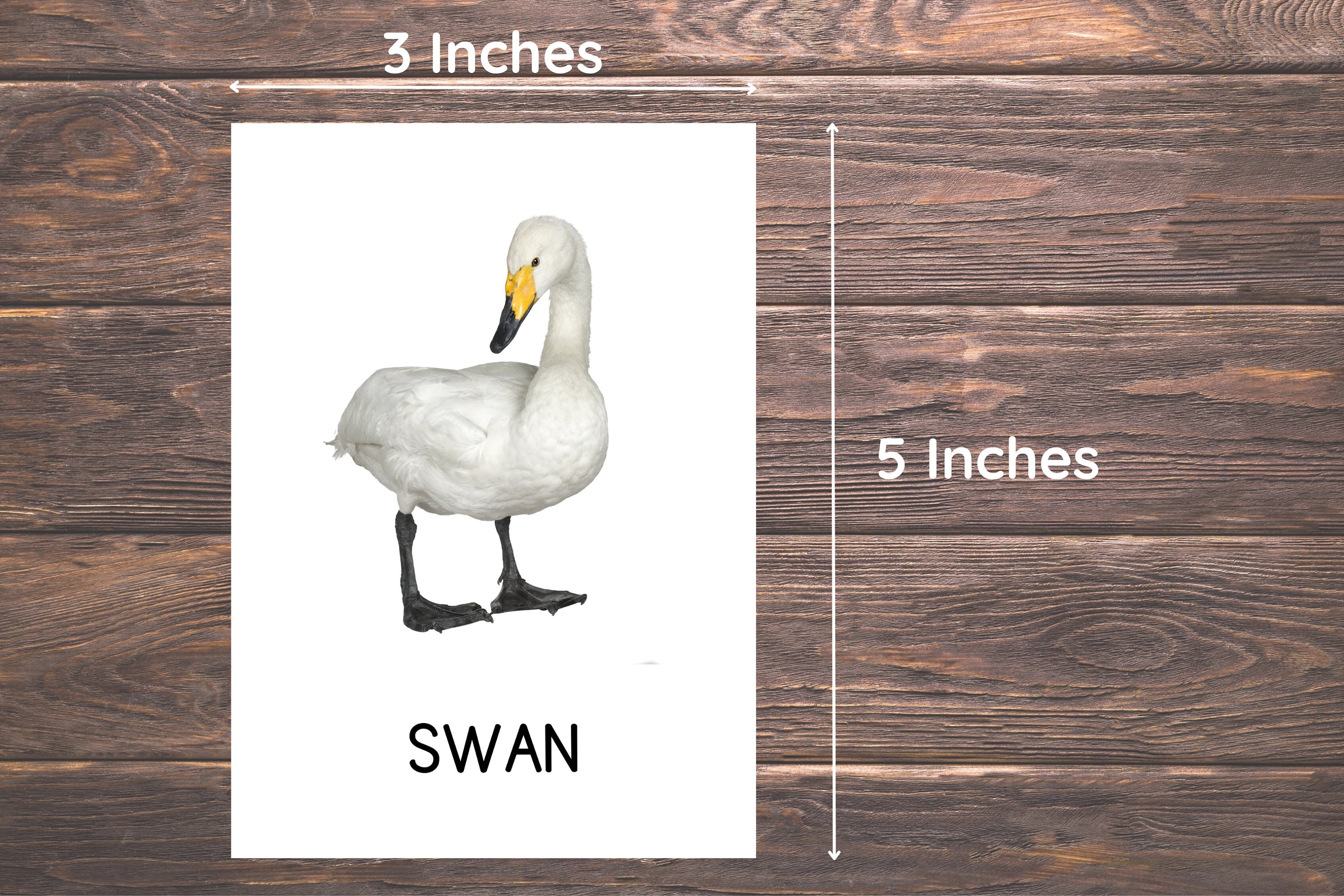 22 Farm Animals Cards | Montessori Flash Card | Real Pictures Cards ...