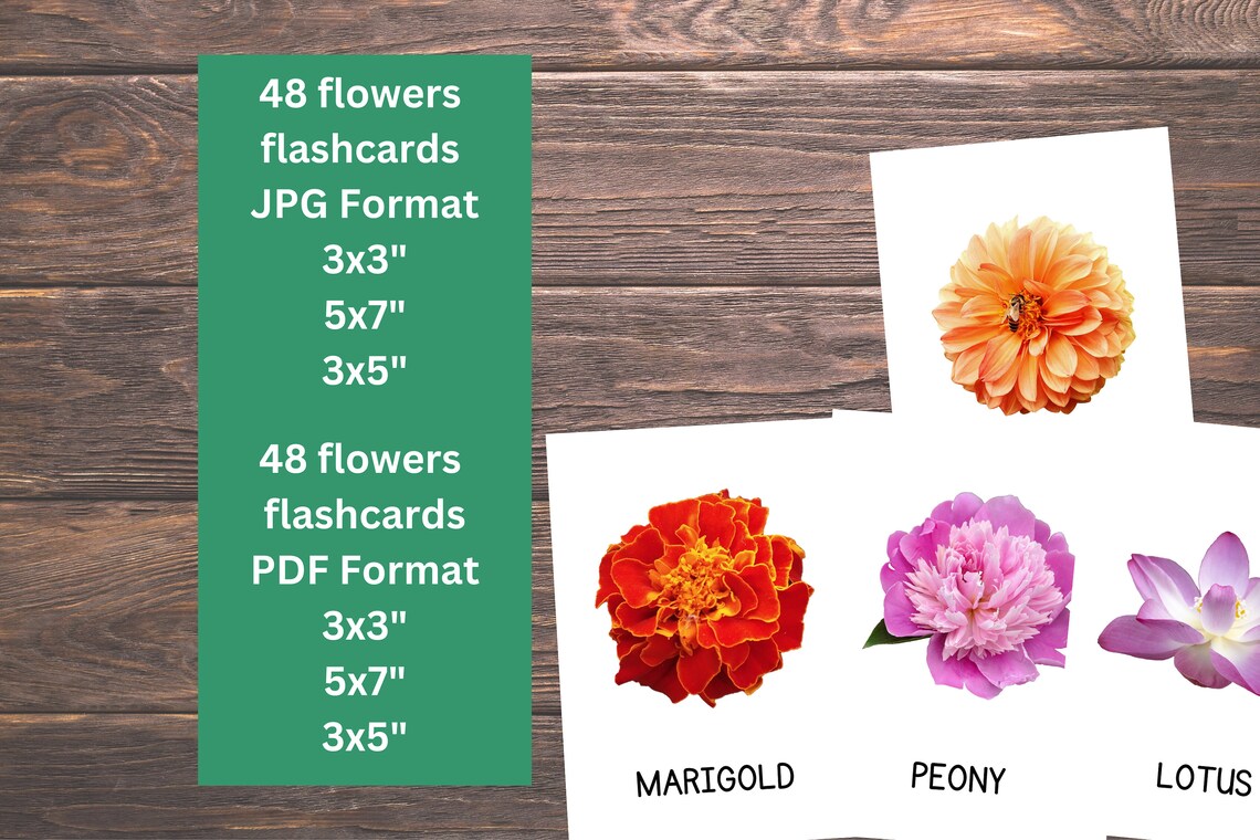 48 Flowers Cards, Flowers Flashcards, Printable Real Pictures ...