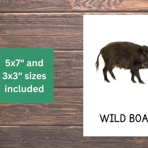 22 Forest Animals Cards, Forest Animals Cards for Toddlers, Montessori ...