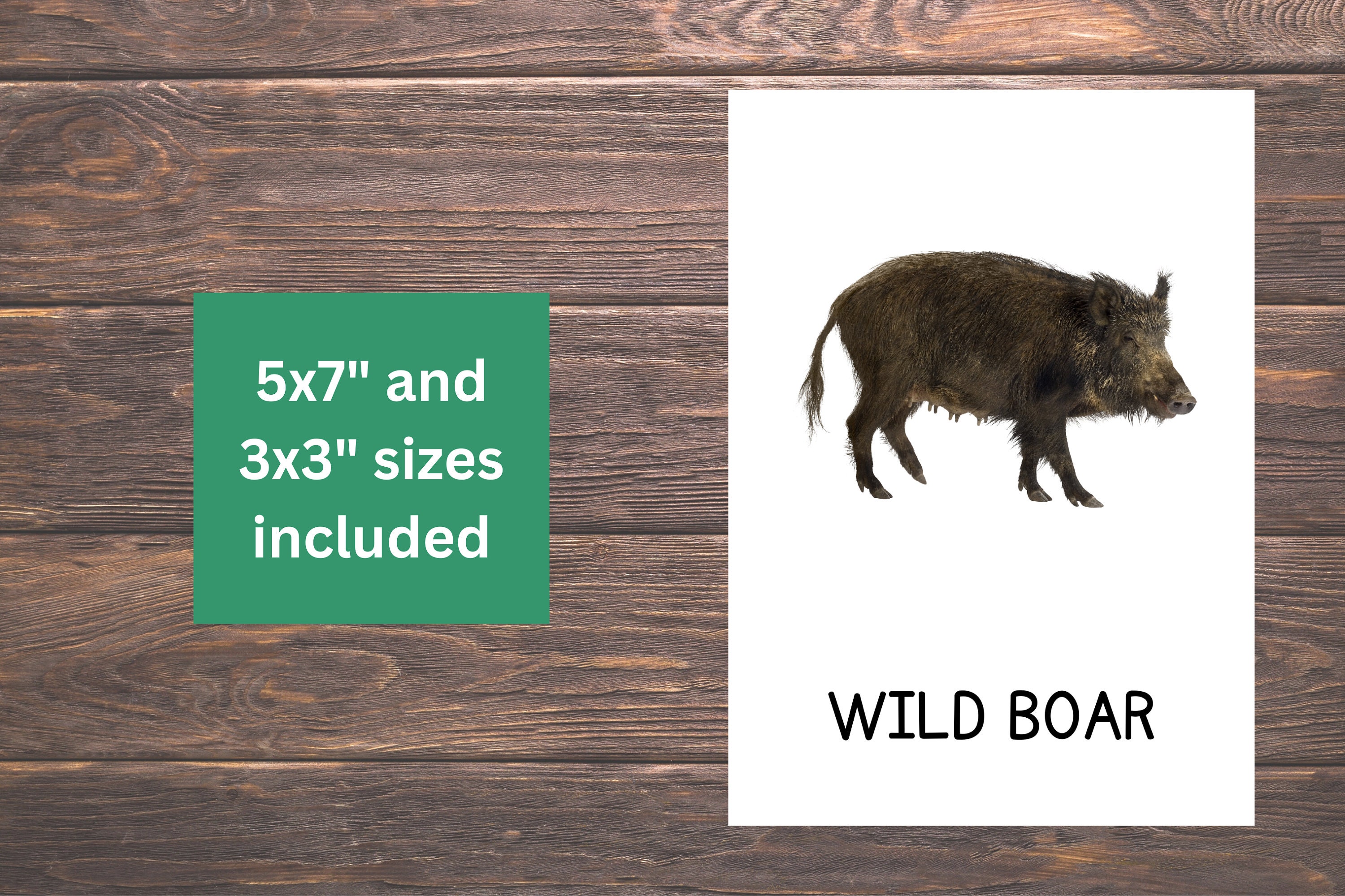22 Forest Animals Cards, Forest Animals Cards for Toddlers, Montessori ...