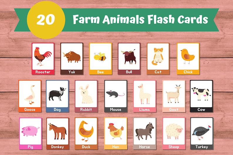 20 Farm Animals Cards Montessori Flash Cards Pre-school - Etsy