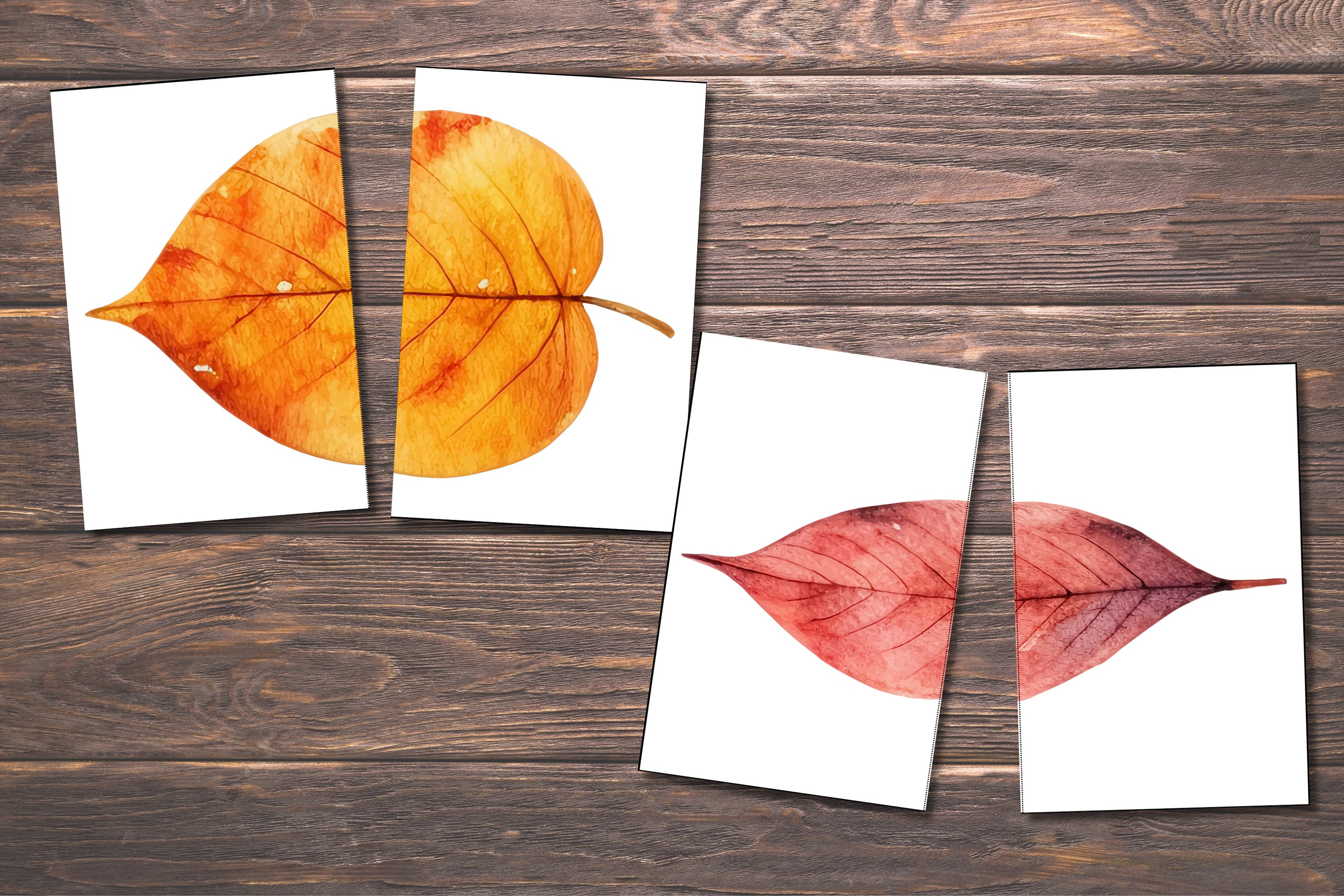 Matching Leaves 20 Cardsfall Activity for Kids Toddler - Etsy