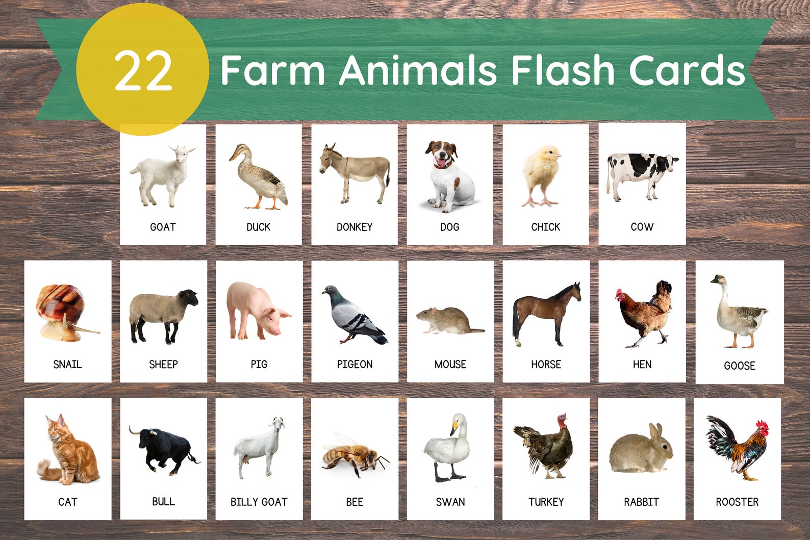 22 Farm Animals Cards Montessori Flash Card Real Pictures Cards ...