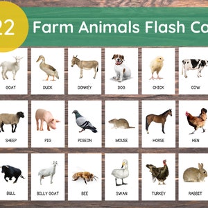 22 Farm Animals Cards | Montessori Flash Card | Real Pictures Cards ...